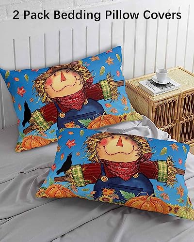 Edwiinsa Fall Scarecrow Pillow Covers King Standard Set of 2 Bed Pillow, Autumn Pumpkin Maple Leaves Blue Plush Soft Comfort for Hair/Skin Cooling Pillowcases with Envelop Closure 20''x36''