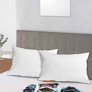 Edwiinsa White Pillow Covers King Standard Set of 2 Bed Pillow, Modern Simple White Backdrop Plush Soft Comfort for Hair/Skin Cooling Pillowcases with Envelop Closure 20''x36''