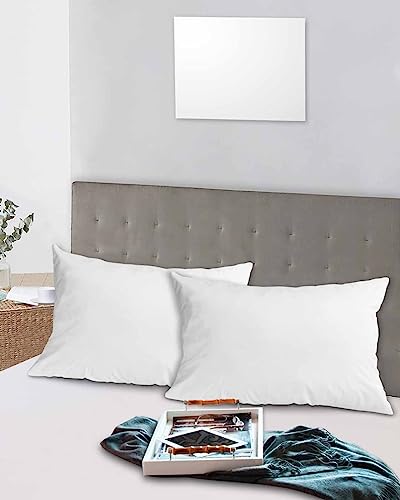 Edwiinsa White Pillow Covers King Standard Set of 2 Bed Pillow, Modern Simple White Backdrop Plush Soft Comfort for Hair/Skin Cooling Pillowcases with Envelop Closure 20''x36''