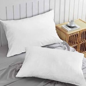 Edwiinsa White Pillow Covers King Standard Set of 2 Bed Pillow, Modern Simple White Backdrop Plush Soft Comfort for Hair/Skin Cooling Pillowcases with Envelop Closure 20''x36''