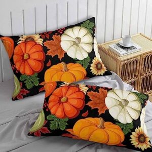 Edwiinsa Thanksgiving Pillow Covers King Standard Set of 2 Bed Pillow, Farmhouse Black Pumpkin Maple Leaves Plush Soft Comfort for Hair/Skin Cooling Pillowcases with Envelop Closure 20''x36''