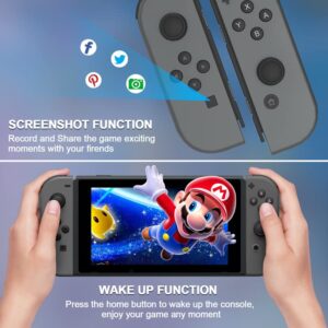 forajoy Joypads for Switch Controller,Gray Joypads Switch Controller for Nintendo Switch/Lite/OLED,Left and Right Switch Joypad Support Dual Vibration/Wake-up Function/Motion Control,No NFC