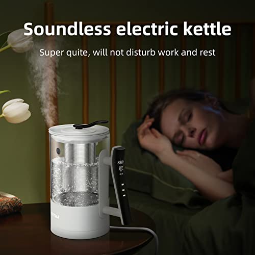 Temperature Control Electric Tea Kettle, Water Boiler & Heater, 1.2L, Silent Operation, Rapid Boiling, Removable Infuser, Auto-Shutoff and Boil-Dry Protection, 12H Keep Warm, Accurate Temperature