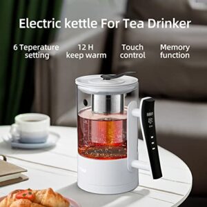 Temperature Control Electric Tea Kettle, Water Boiler & Heater, 1.2L, Silent Operation, Rapid Boiling, Removable Infuser, Auto-Shutoff and Boil-Dry Protection, 12H Keep Warm, Accurate Temperature