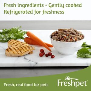 Salutem Vita - Freshpet Select Fresh from The Kitchen Home Cooked Chicken Recipe for Dogs, 1.75 Lb - Pack of 3