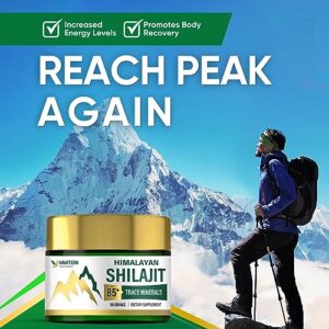 Himalayan Shilajit Resin Supplement 500mg, 85+ Trace Minerals Complex for Brain Booster, Energy, Immune Support, Overall Health - 50g (2-3 Month Supply)