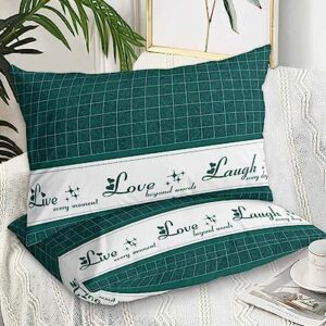 Edwiinsa Teal Plaid Pillow Covers Standard Size Set of 2 20x26 Bed Pillow, Turquoise Rustic White Live Love Laugh Plush Soft Comfort for Hair/Skin Cooling Pillowcases with Envelop Closure