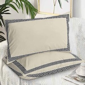 Edwiinsa Beige Pillow Covers King Standard Set of 2 20x36 Bed Pillow, Black Modern Geometric Abstract Art Aesthetics Plush Soft Comfort for Hair/Skin Cooling Pillowcases with Envelop Closure