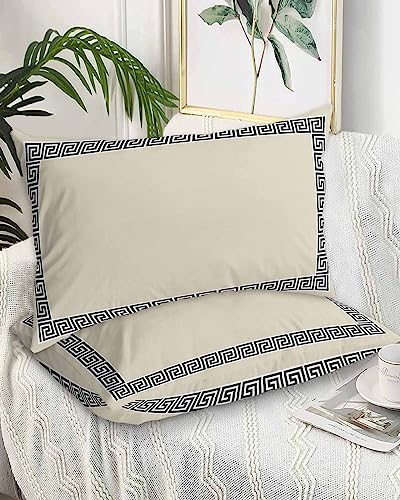 Edwiinsa Beige Pillow Covers King Standard Set of 2 20x36 Bed Pillow, Black Modern Geometric Abstract Art Aesthetics Plush Soft Comfort for Hair/Skin Cooling Pillowcases with Envelop Closure