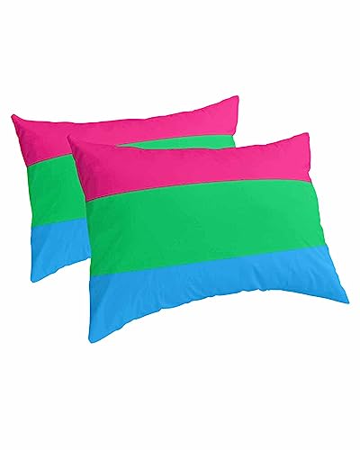 Edwiinsa Pink Green Blue Pillow Covers Standard Size Set of 2 20x26 Bed Pillow, Modern Abstract Art Aesthetics Striped Plush Soft Comfort for Hair/Skin Cooling Pillowcases with Envelop Closure