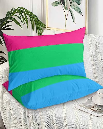 Edwiinsa Pink Green Blue Pillow Covers Standard Size Set of 2 20x26 Bed Pillow, Modern Abstract Art Aesthetics Striped Plush Soft Comfort for Hair/Skin Cooling Pillowcases with Envelop Closure