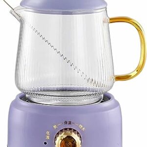 600ML Health Pot Household Multifunctional Glass Kettle Electric Tea Pot Hot Water Dispensers Electric Kettle Flower Teapot Automatic Electric Stew Bird's Nest Pot Stainless Steel B,600ML (Color : B