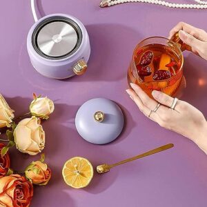 600ML Health Pot Household Multifunctional Glass Kettle Electric Tea Pot Hot Water Dispensers Electric Kettle Flower Teapot Automatic Electric Stew Bird's Nest Pot Stainless Steel B,600ML (Color : B