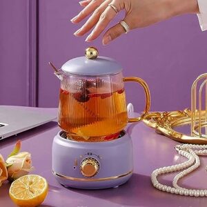 600ML Health Pot Household Multifunctional Glass Kettle Electric Tea Pot Hot Water Dispensers Electric Kettle Flower Teapot Automatic Electric Stew Bird's Nest Pot Stainless Steel B,600ML (Color : B