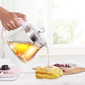 Electric Kettle, Multi-Function Teapot,Kettle, Temperature Control Kettle, Health Kettle, Automatic Thickened Glass Teapot Stainless Steel Heating Base Kettle (Color : B, Size : A)