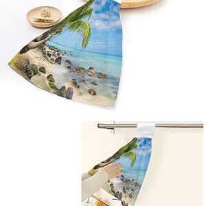 MUENINELE Hand Towel,Palm Tree Beach Sea Cloud Blue Sky Island Reef Stone Absorbent Hanging Towel Fast Drying Towels for Kitchen Bathroom Toilet Home 18"x14" 2Pcs