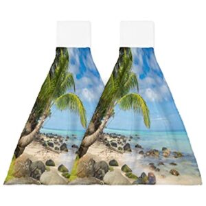 MUENINELE Hand Towel,Palm Tree Beach Sea Cloud Blue Sky Island Reef Stone Absorbent Hanging Towel Fast Drying Towels for Kitchen Bathroom Toilet Home 18"x14" 2Pcs