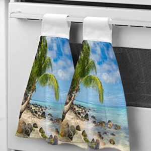 MUENINELE Hand Towel,Palm Tree Beach Sea Cloud Blue Sky Island Reef Stone Absorbent Hanging Towel Fast Drying Towels for Kitchen Bathroom Toilet Home 18"x14" 2Pcs