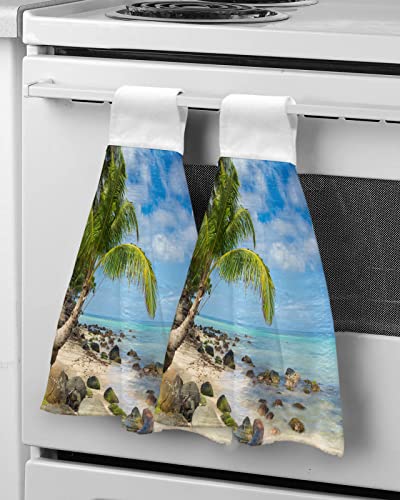 MUENINELE Hand Towel,Palm Tree Beach Sea Cloud Blue Sky Island Reef Stone Absorbent Hanging Towel Fast Drying Towels for Kitchen Bathroom Toilet Home 18"x14" 2Pcs