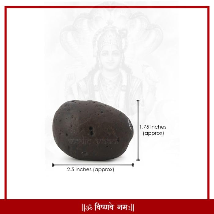 Vedic Vaani Aniruddha Vishwambhara Matsya Kurma Vishnu Avatar Shaligram|Shaligram Paste|Tulsi mala (Pack of 3)