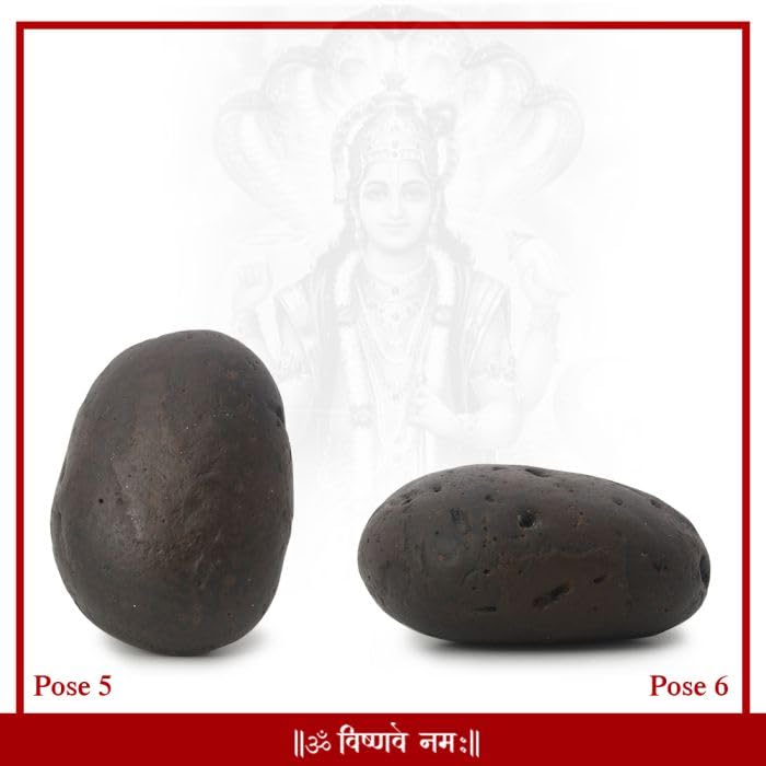 Vedic Vaani Aniruddha Vishwambhara Matsya Kurma Vishnu Avatar Shaligram|Shaligram Paste|Tulsi mala (Pack of 3)