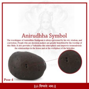 Vedic Vaani Aniruddha Vishwambhara Matsya Kurma Vishnu Avatar Shaligram|Shaligram Paste|Tulsi mala (Pack of 3)