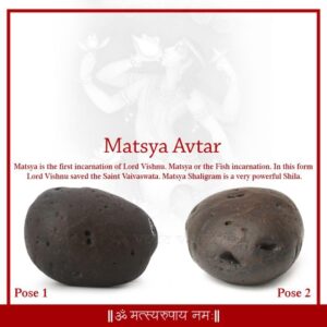 Vedic Vaani Aniruddha Vishwambhara Matsya Kurma Vishnu Avatar Shaligram|Shaligram Paste|Tulsi mala (Pack of 3)