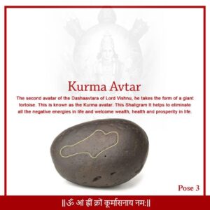 Vedic Vaani Aniruddha Vishwambhara Matsya Kurma Vishnu Avatar Shaligram|Shaligram Paste|Tulsi mala (Pack of 3)