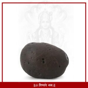 Vedic Vaani Aniruddha Vishwambhara Matsya Kurma Vishnu Avatar Shaligram|Shaligram Paste|Tulsi mala (Pack of 3)