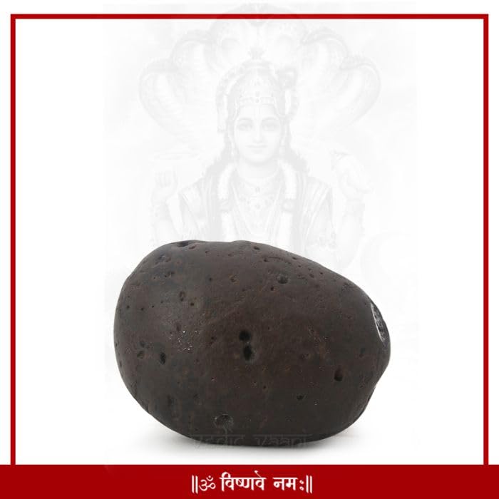 Vedic Vaani Aniruddha Vishwambhara Matsya Kurma Vishnu Avatar Shaligram|Shaligram Paste|Tulsi mala (Pack of 3)