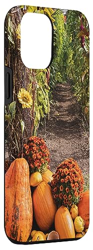 iPhone 14 Pro Max Autumn Leaves Flowers Fall Pumpkin Colorful Garden Botanical Case