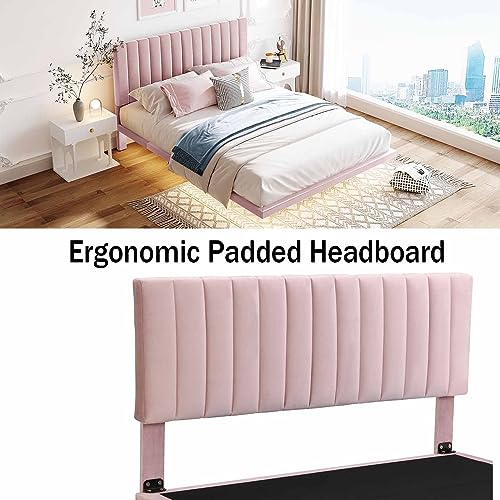 RIDFY Queen Floating Bed Frame with LED Lights/Headboard, Modern Velvet Fabric Platform Bedframe, Mattress Foundation Camas/Wood Slat Support/No Box Spring Needed/Noise Free,Pink