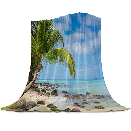 ANNAMALL Throw Blanket,30x40 InchPalm Tree Beach Sea Cloud Blue Sky Island Reef Stone Microfiber Throw Blankets Warm Cozy Lightweight Blanket for Sofa,Bed,Camping,Picnic