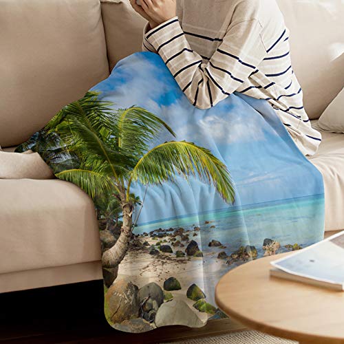 ANNAMALL Throw Blanket,30x40 InchPalm Tree Beach Sea Cloud Blue Sky Island Reef Stone Microfiber Throw Blankets Warm Cozy Lightweight Blanket for Sofa,Bed,Camping,Picnic