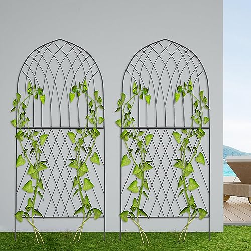 2 Pack Large Garden Trellis for Climbing Plants and Vines, for Ivy, Roses, Cucumbers 75 inches Plants Support Tall Wall Rustproof Black Steel Metal Trellis