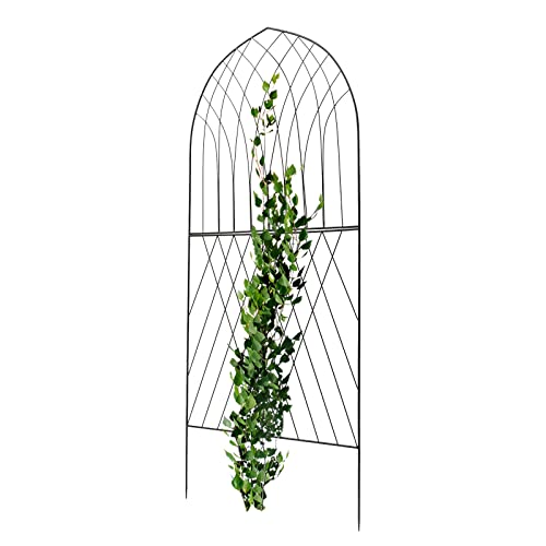 2 Pack Large Garden Trellis for Climbing Plants and Vines, for Ivy, Roses, Cucumbers 75 inches Plants Support Tall Wall Rustproof Black Steel Metal Trellis