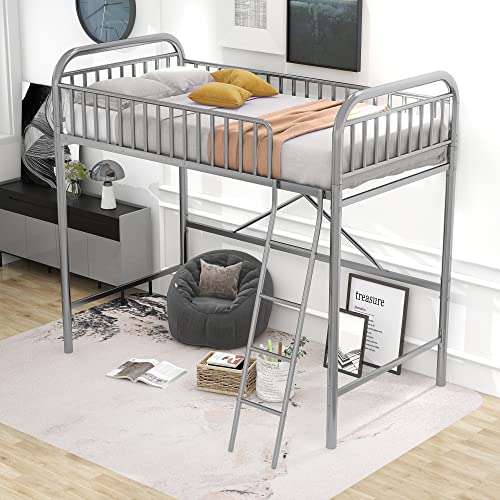 OPTOUGH Twin Size Metal Loft Bed with Safety Rails and Ladders,for Kids Teens,Saving Space,No Spring Box Needed, Silver