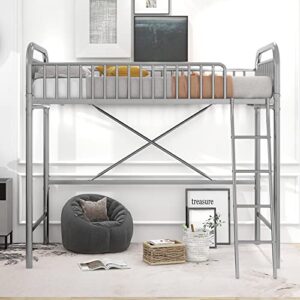 OPTOUGH Twin Size Metal Loft Bed with Safety Rails and Ladders,for Kids Teens,Saving Space,No Spring Box Needed, Silver