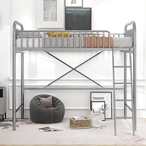 OPTOUGH Twin Size Metal Loft Bed with Safety Rails and Ladders,for Kids Teens,Saving Space,No Spring Box Needed, Silver