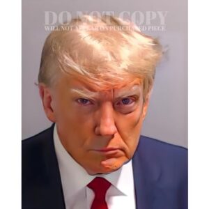 Donald Trump Mugshot Photograph 11 X 14 - Magnificent 2023 Mug Shot Portrait - Historica Atlanta, Georgia Arrest - Indicted - USA - 45th President - America - Rare Photo - Poster Art Print