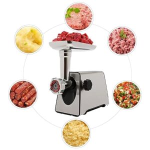 Meat Grinder,Electric Meat Grinder,2800W Max Stainless Steel Meat Grinder Electric,Heavy Duty Meat Mincer Machine,Meat Sausage Kit for Home Kitchen,Silver