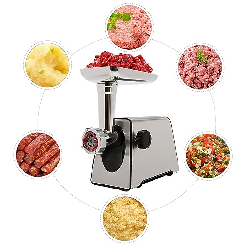 Meat Grinder,Electric Meat Grinder,2800W Max Stainless Steel Meat Grinder Electric,Heavy Duty Meat Mincer Machine,Meat Sausage Kit for Home Kitchen,Silver