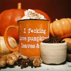 Funny Coffee Mug, I F*cking Love Pumpkins and Leaves and Shit Fall Stoneware Campfire mug, 15oz Coffee Mug Ceramic Cup, Unique Sarcastic Gag Gift for Women Men (#1)