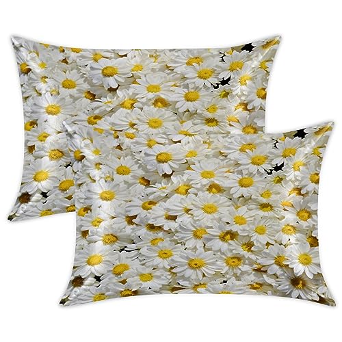 Daisy Floral Prints Satin Pillow Cases Silk Satin Pillowcase for Hair and Skin Standard Set of 2 Super Soft Silk Pillowcase with Envelope Closure (20x26 in)