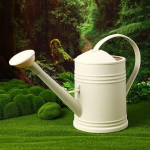 Happyyami 2pcs Waterer Spout Home Pitcher Can Ml High Decorative L Plastic Plants Multi-Purpose Detachable Water White Cans with Large Play Modern Garden and Watering House Sprayer