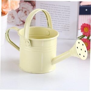 YARNOW 9 pcs Gardening Kettle Ornament metal spray bottle small indoor watering can tools mini waterer can watering cans water spray cans mister for plants simple watering pot