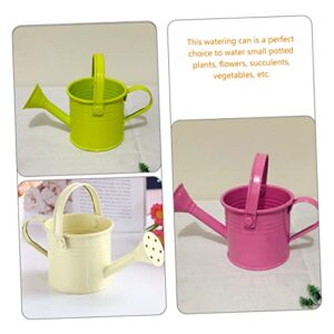 YARNOW 9 pcs Gardening Kettle Ornament metal spray bottle small indoor watering can tools mini waterer can watering cans water spray cans mister for plants simple watering pot