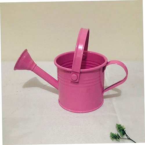 YARNOW 9 pcs Gardening Kettle Ornament metal spray bottle small indoor watering can tools mini waterer can watering cans water spray cans mister for plants simple watering pot