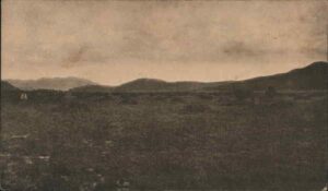 view shows an irrigated alfalfa ranch. water being pumped. el cajon valley ca original antique postcard