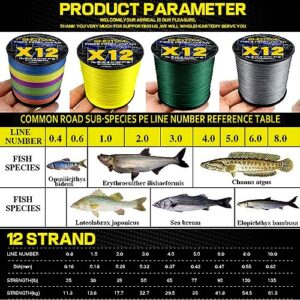 X12 Braided Fishing Line Original Braid Ultra PE Fishing Line Multicolor High Strength Fishing Line 500M